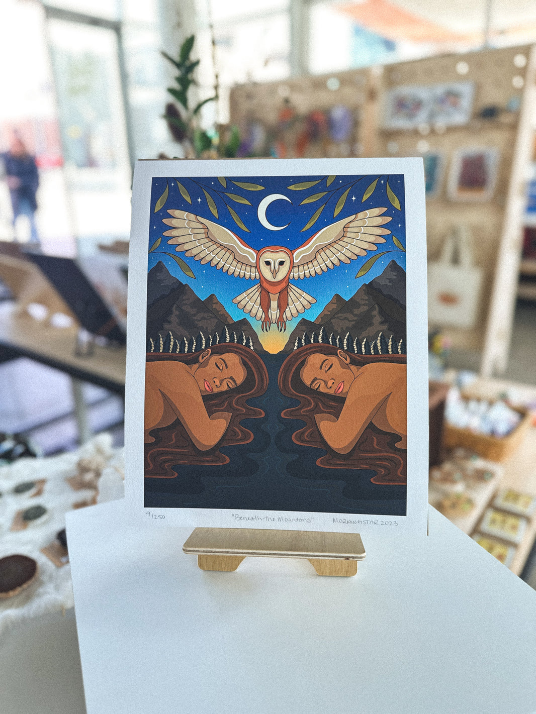 LIMITED EDITION PRINTS – MORNINGSTAR DESIGNS