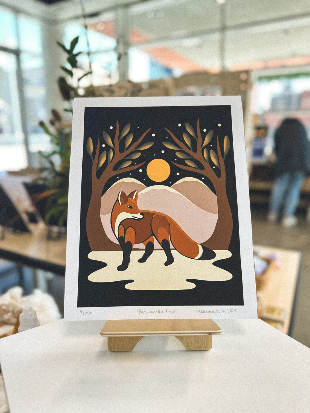 LIMITED EDITION PRINTS – MORNINGSTAR DESIGNS