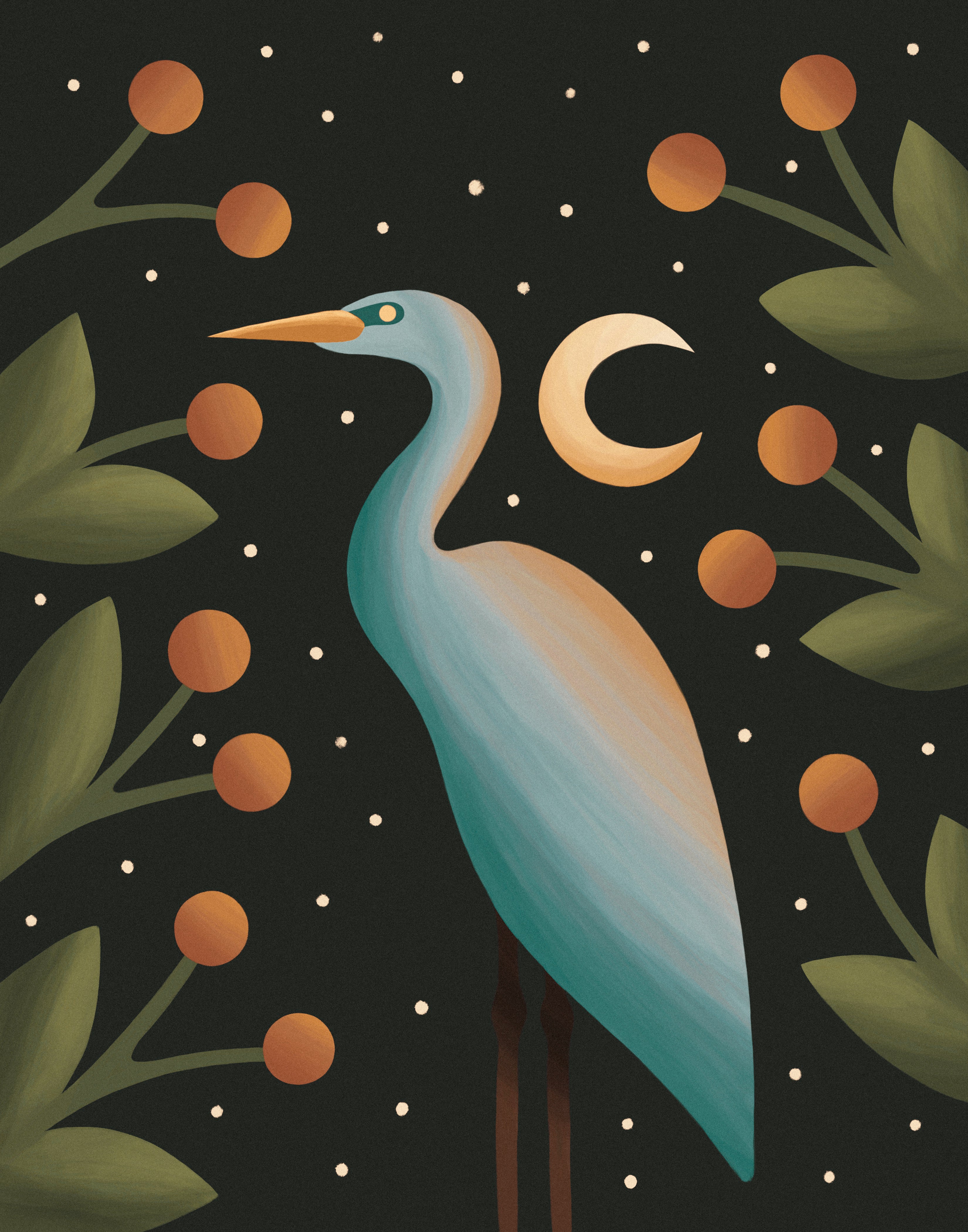 Digital Catalogue – MORNINGSTAR DESIGNS